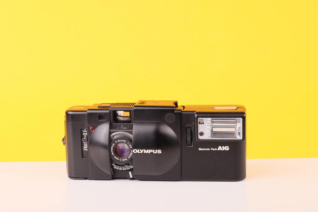 Best Point and Shoot Film Cameras (2026 Guide) | Vintage Camera Hut